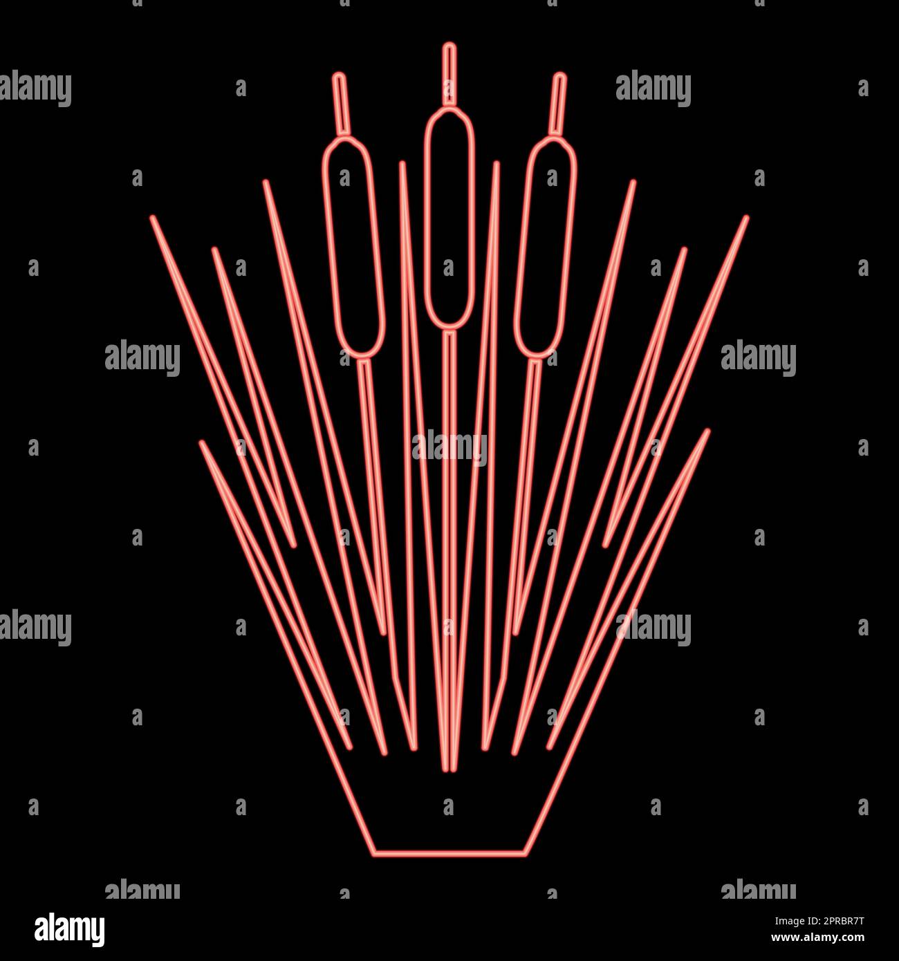 Fen sedge Stock Vector Images - Alamy