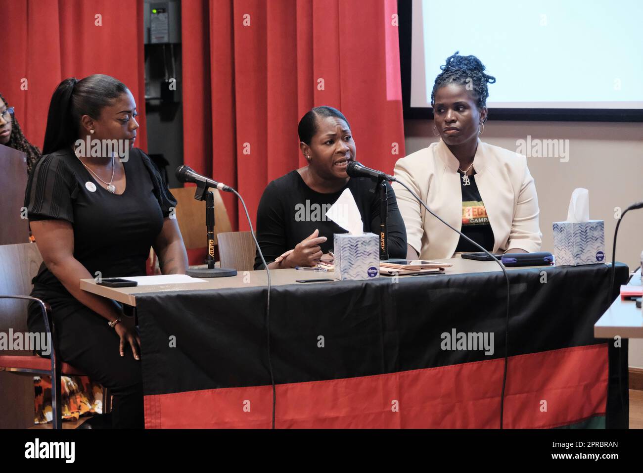 April 26, 2023: The United Nations Expert Mechanism to Advance Racial ...