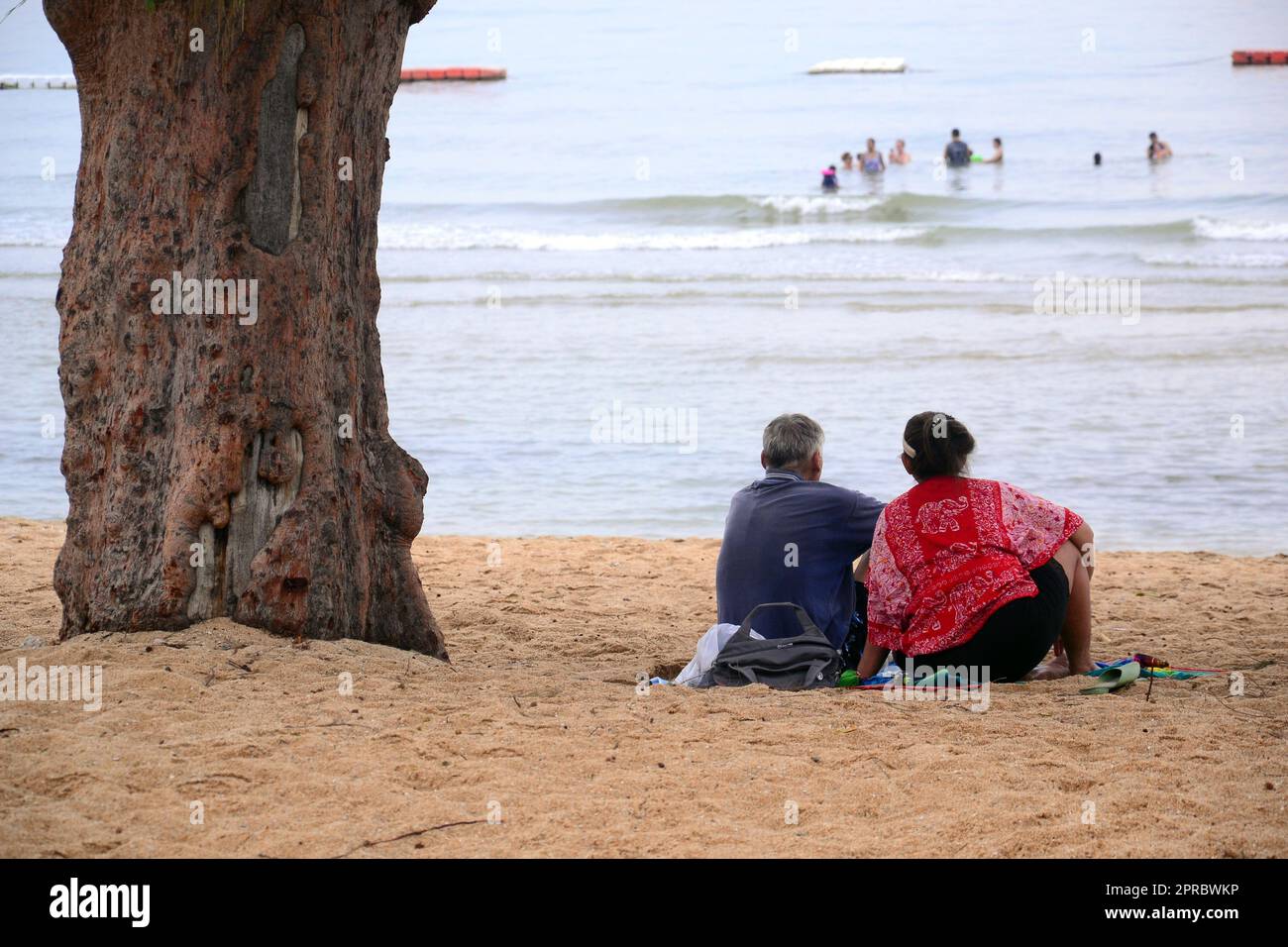 An older man and woman sit together on the beach, next to a tree ...