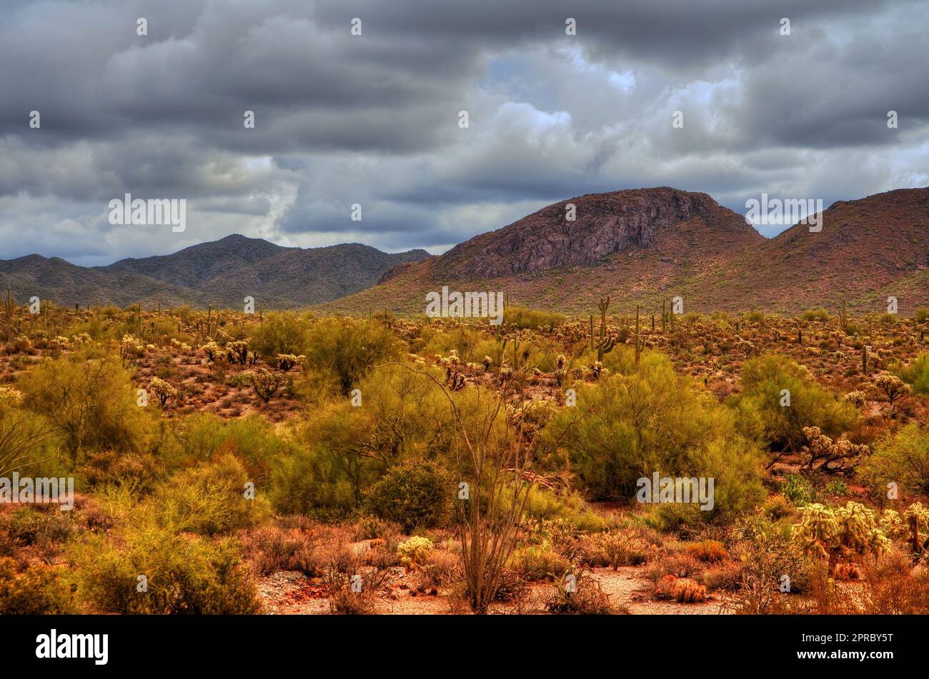 Desert storm over the southwestern desert and mountains Stock Photo - Alamy