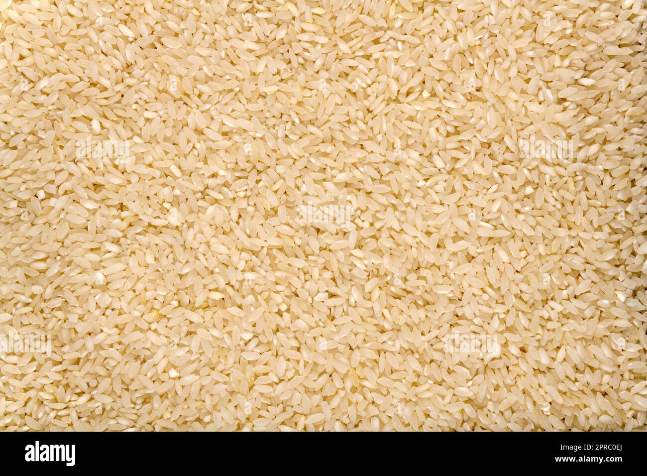 Carolina plantation rice texture background, closeup. South Carolina ...