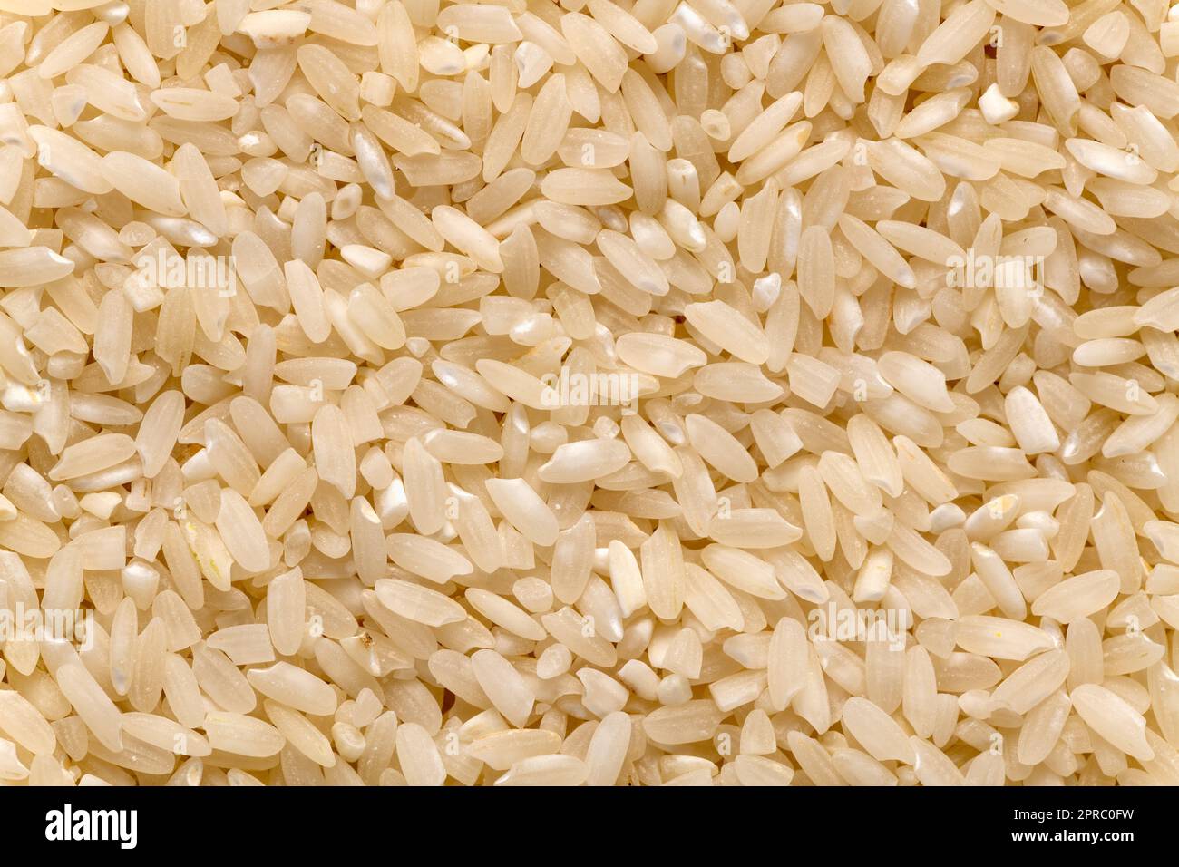Carolina plantation rice texture background, macro shot. South Carolina ...