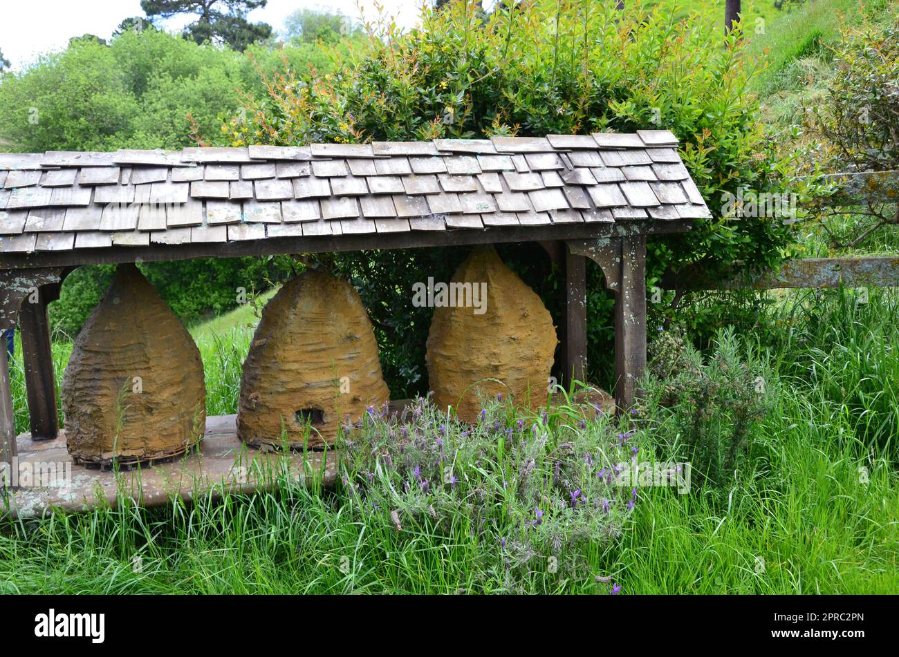 Hobbiton Movie Set and Hobbiton Homes in New Zealand Stock Photo - Alamy
