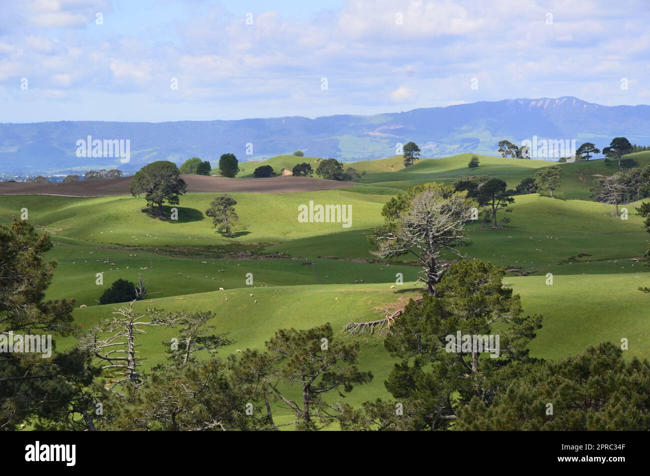 Hobbiton Movie Set and Hobbiton Homes in New Zealand Stock Photo - Alamy