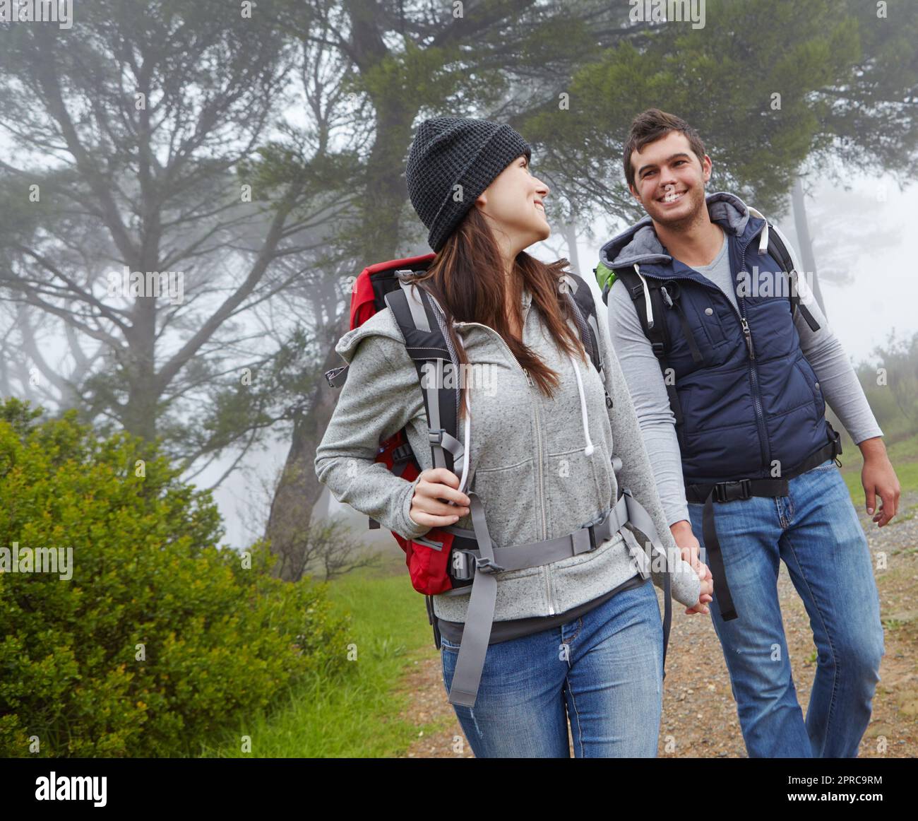 Hiking partners. a young couple hiking along a forest trail Stock Photo ...
