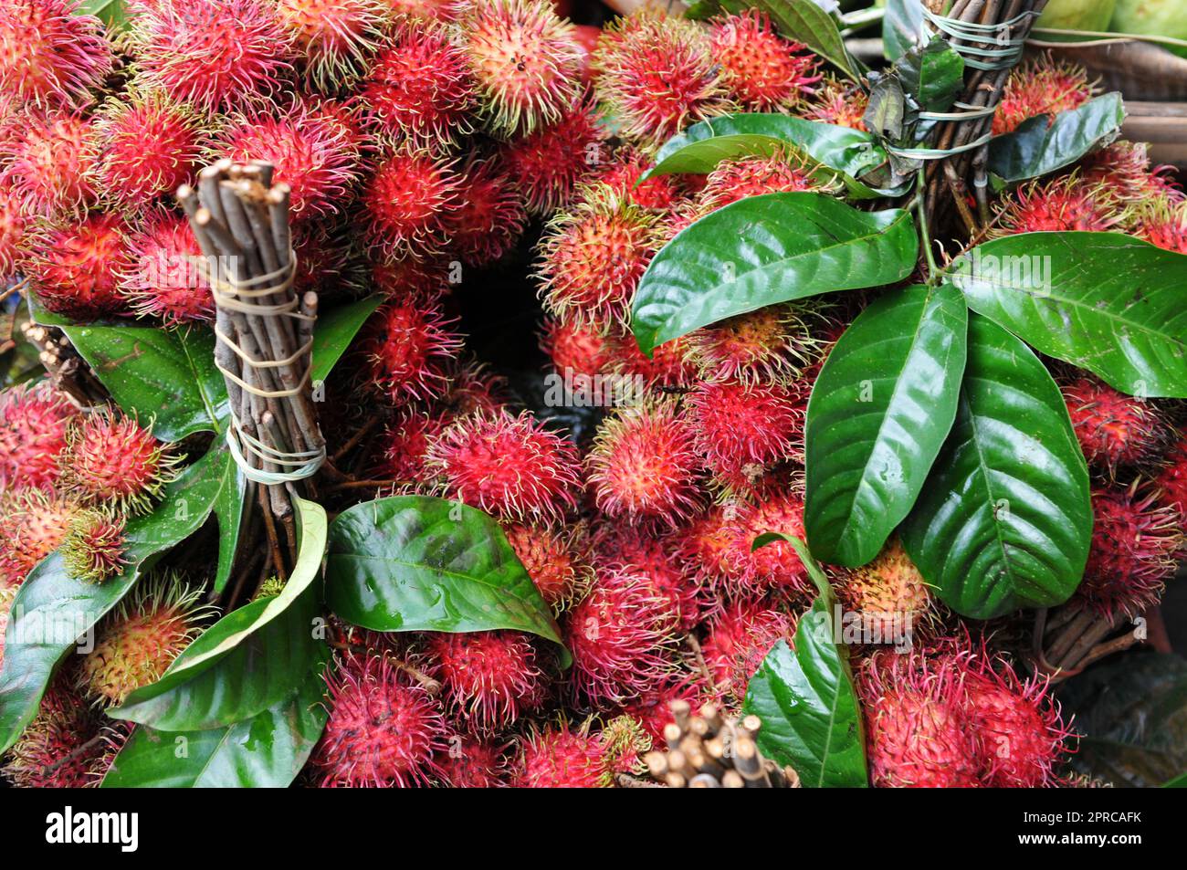 Rambutan fruit for sale hi-res stock photography and images - Alamy