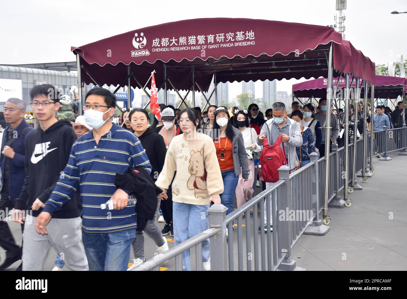 People line up to watch giant panda He Hua at Chengdu Research Base of ...