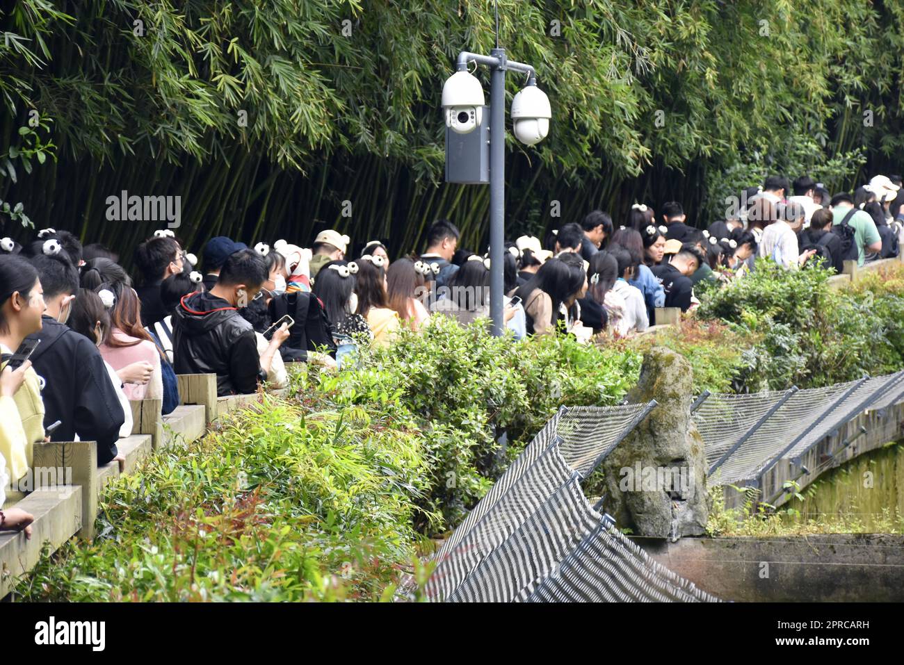 People line up to watch giant panda He Hua at Chengdu Research Base of ...