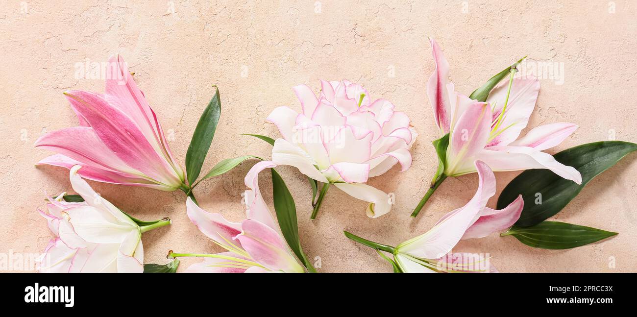 Beautiful lilies on beige background, top view Stock Photo - Alamy