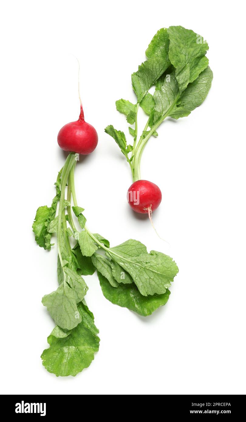 Ripe radish with green leaves isolated on white background Stock Photo ...
