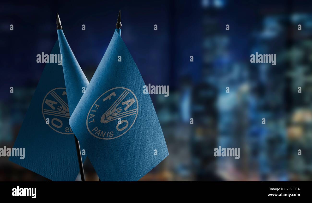 Small flags of the Food and agriculture organization on an abstract ...