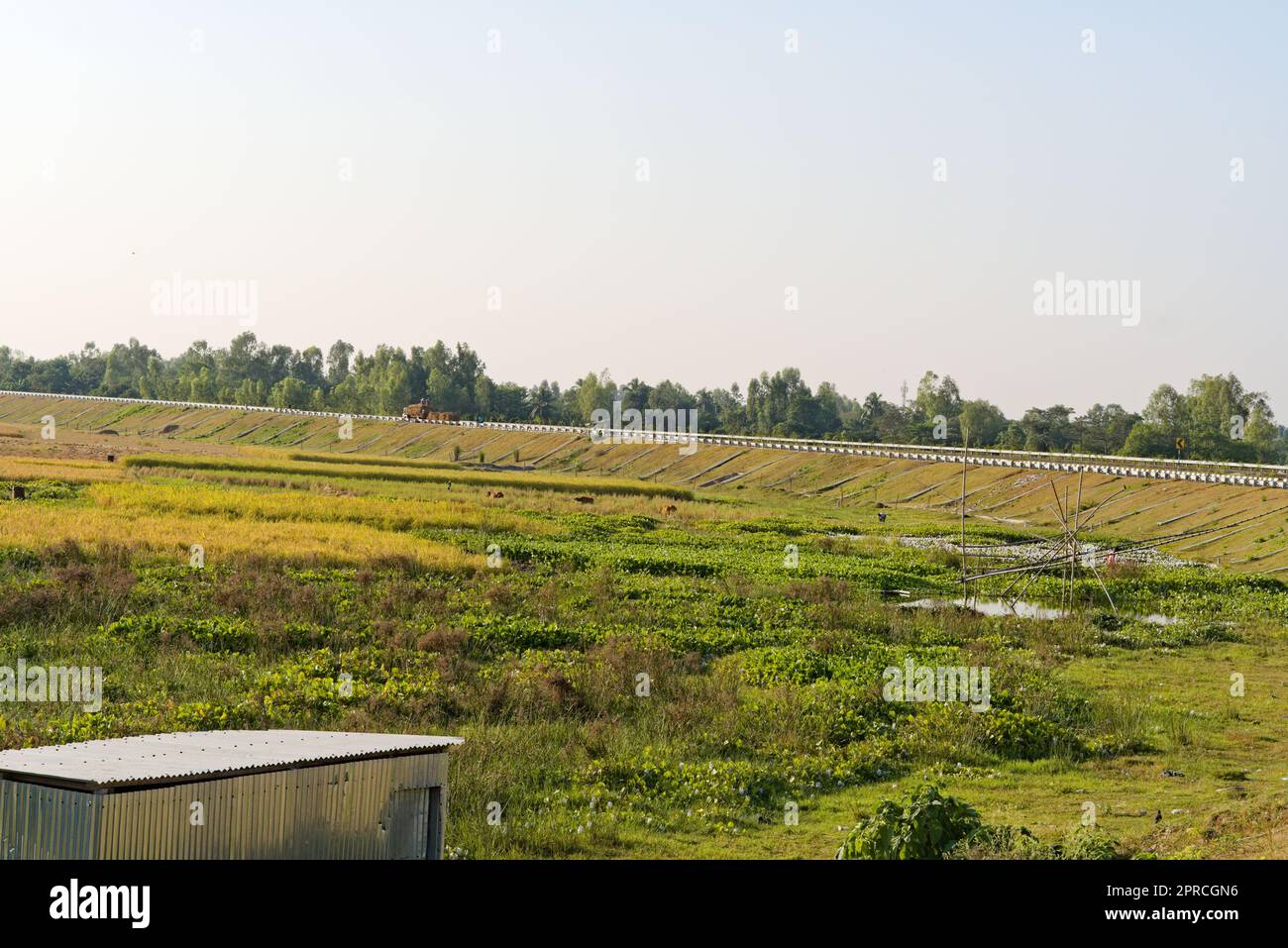 marsh land spread across vastly beside national highway in india Stock ...