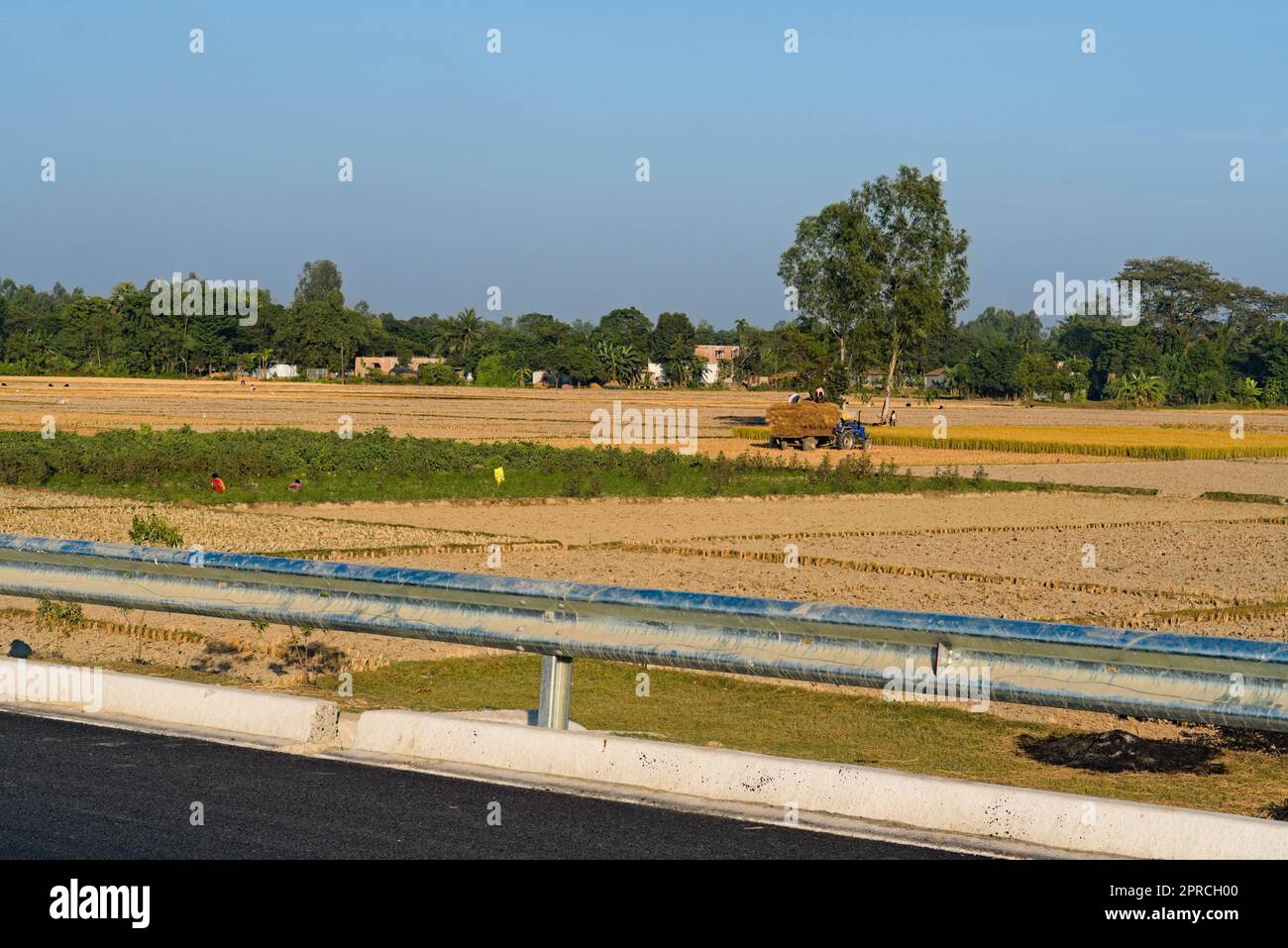 Asia rural sky countryside plant forest view hi-res stock photography ...
