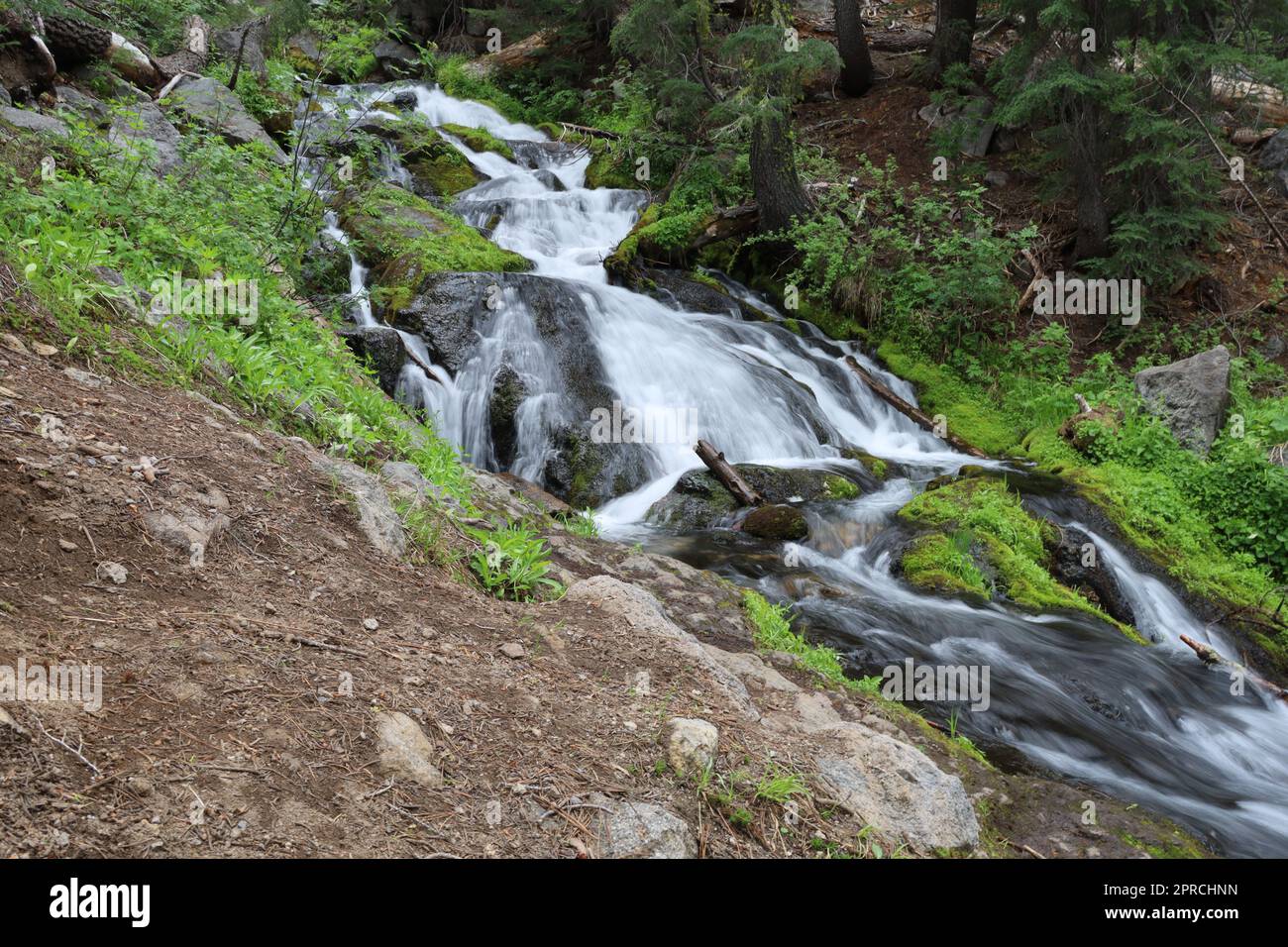 Waterfall in paradise meadow lassen hi-res stock photography and images ...