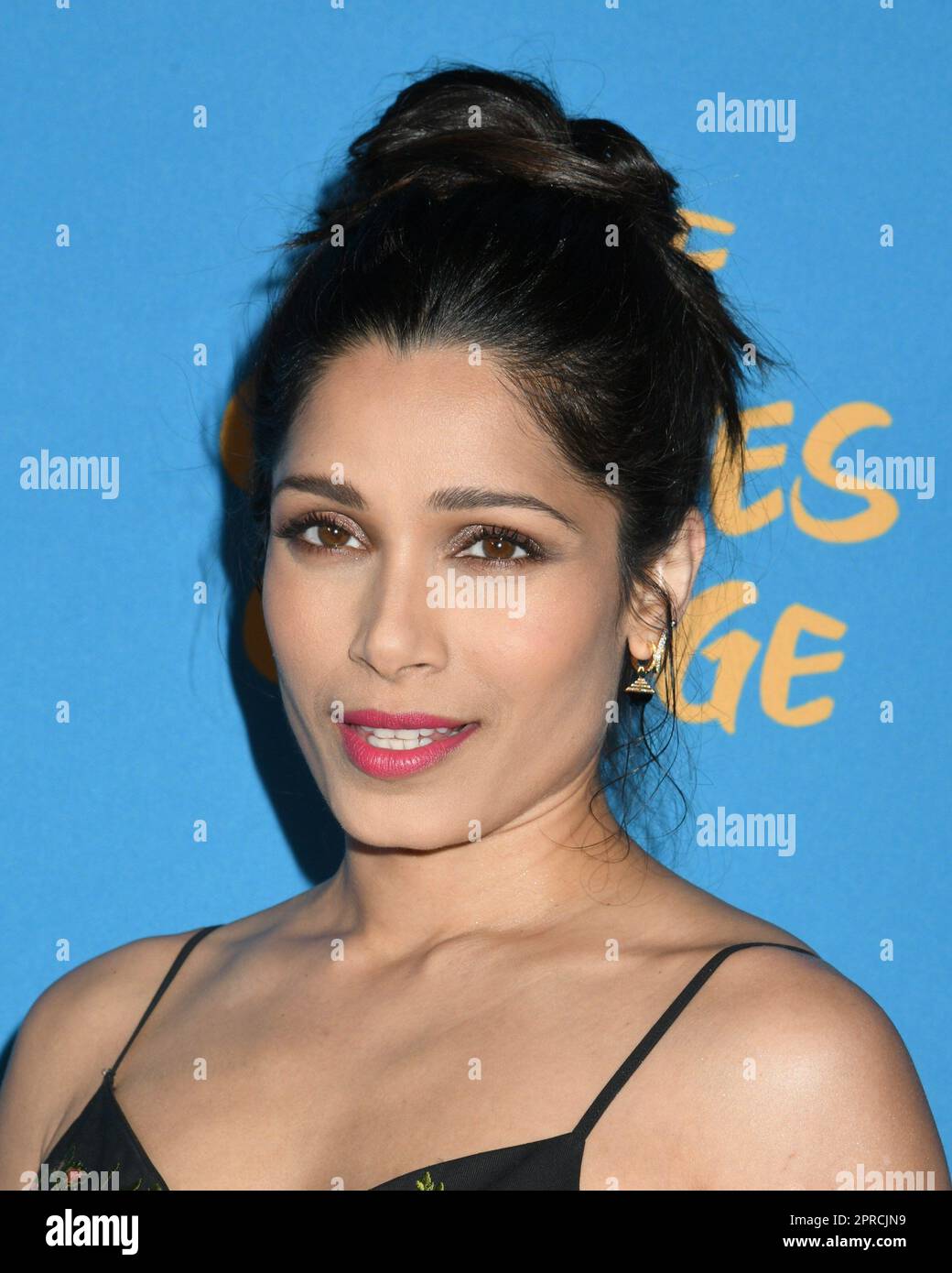 New York, NY, USA. 26th Apr, 2023. Freida Pinto at arrivals for Room to ...