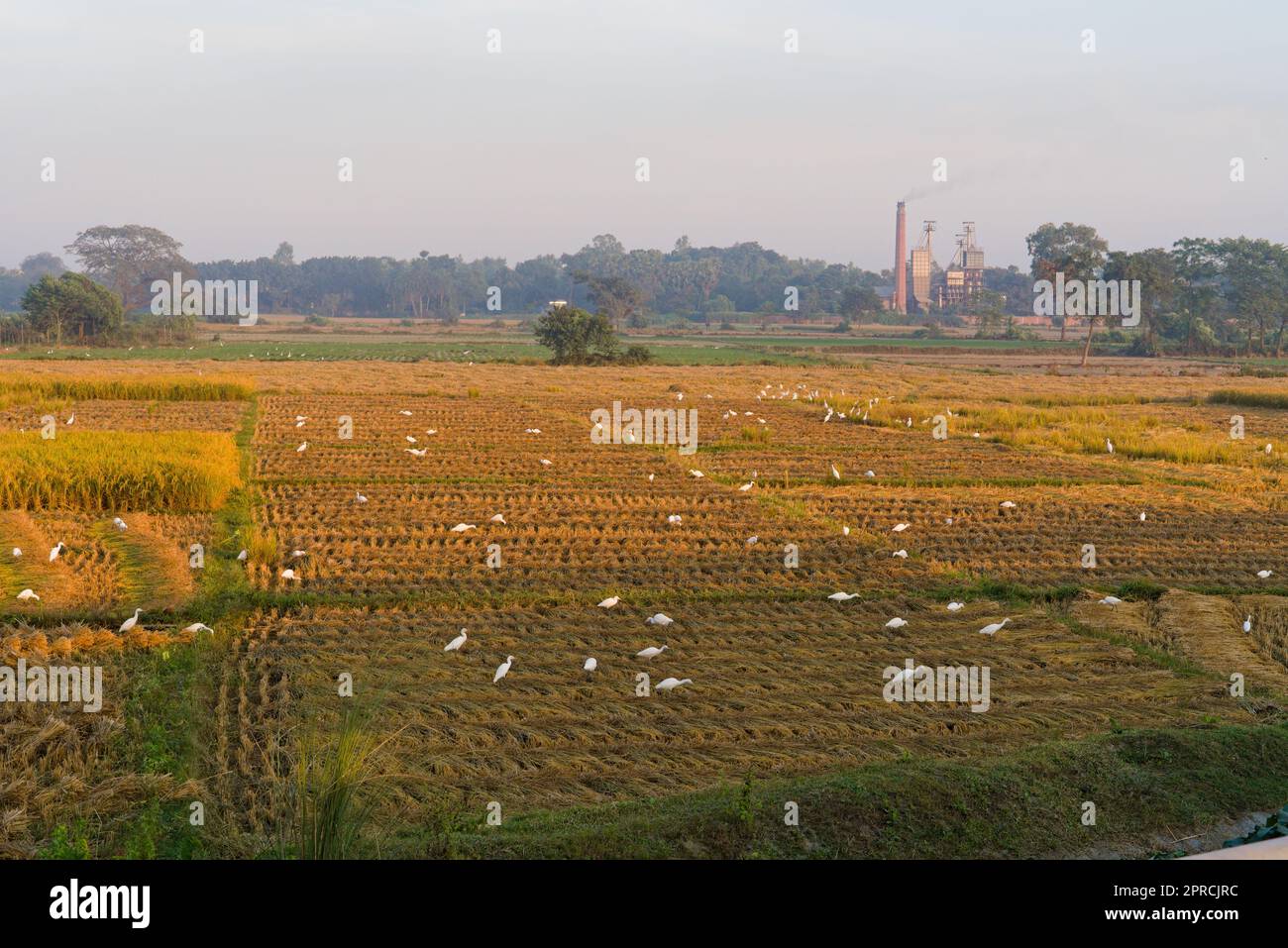 Agriculture drone india hi-res stock photography and images - Alamy