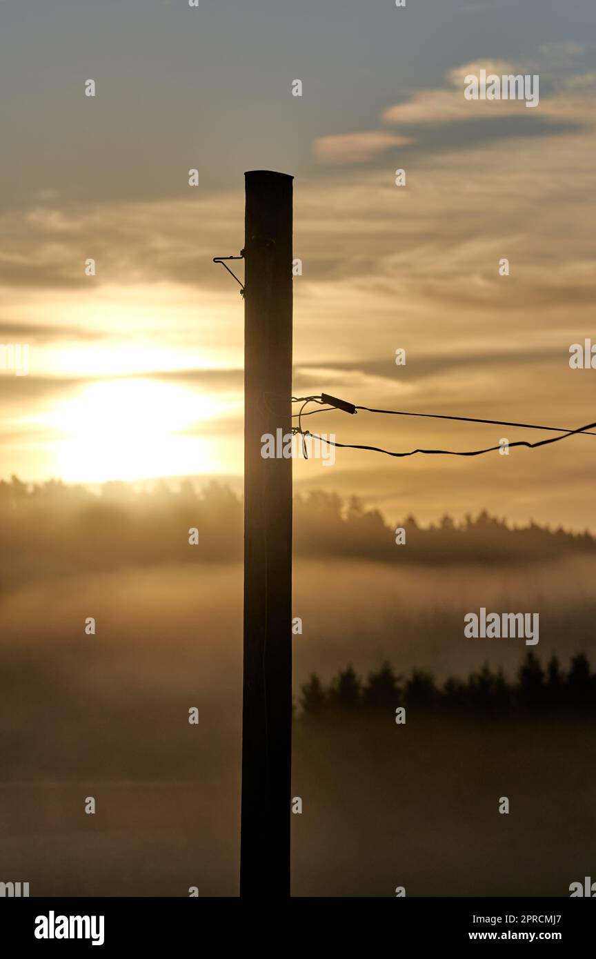 Copper wire tree hi-res stock photography and images - Alamy