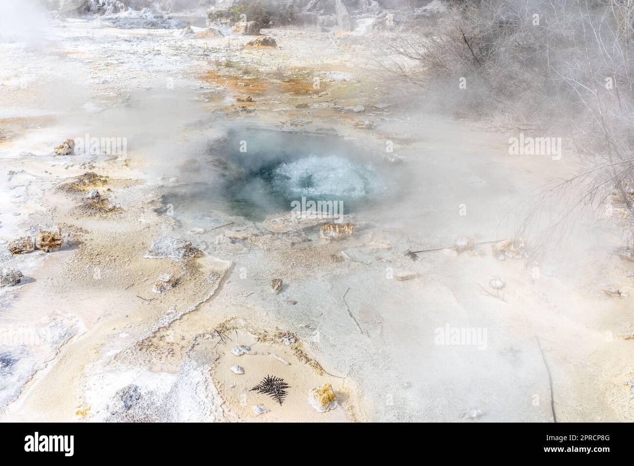 Steaming hot water pool at Orakei Korako geothermal landscape Stock ...