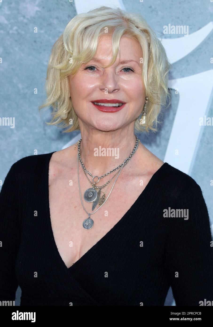 Beth Broderick Now