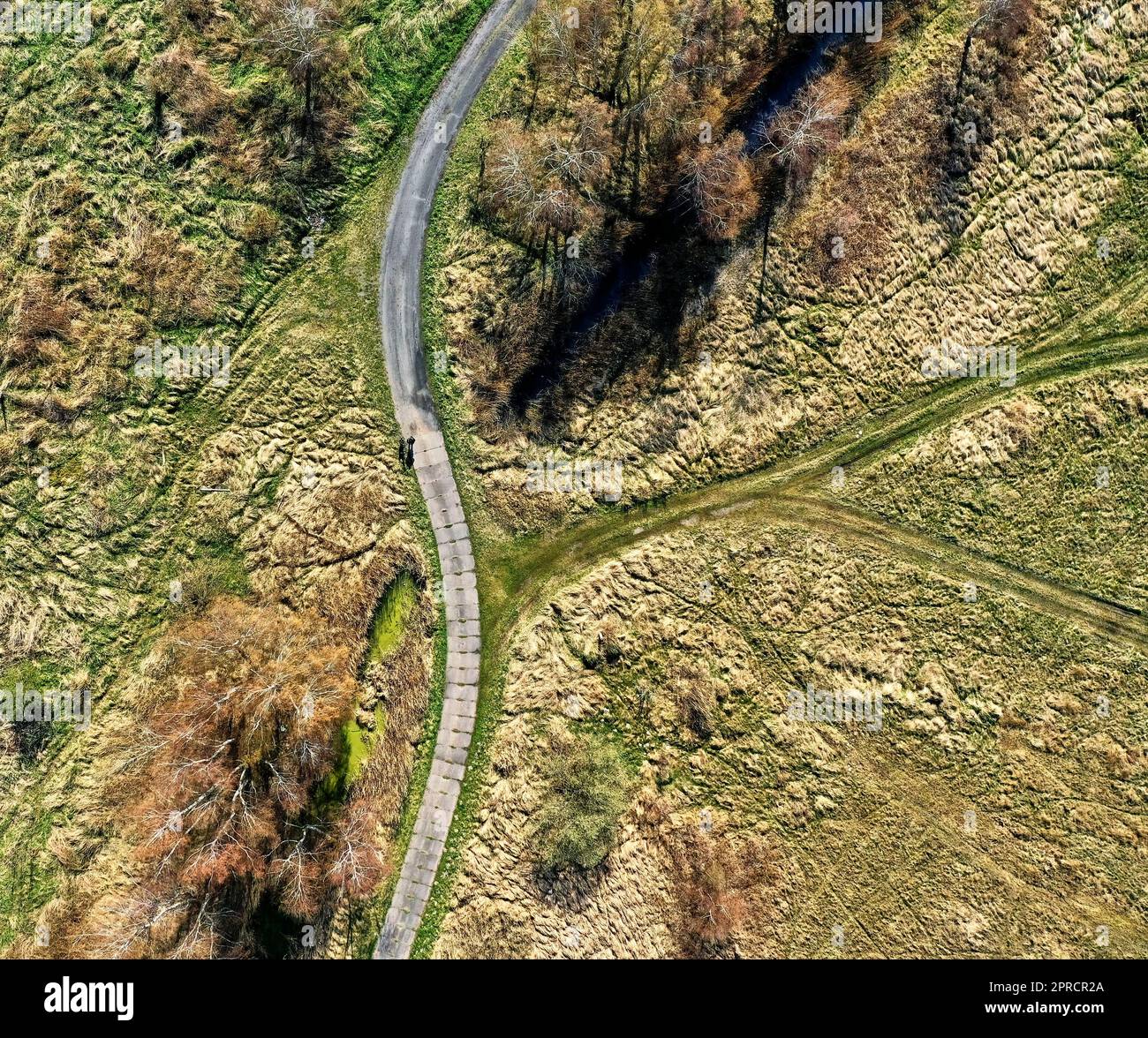 Vertical aerial view of a winding path made of concrete slabs through a ...