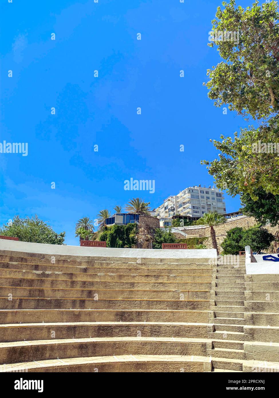 ancient amphitheater. place for performances and fights. tall tropical ...