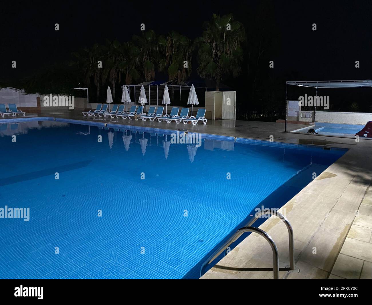 Beautiful night swimming pool with umbrellas and deck chairs and palm ...