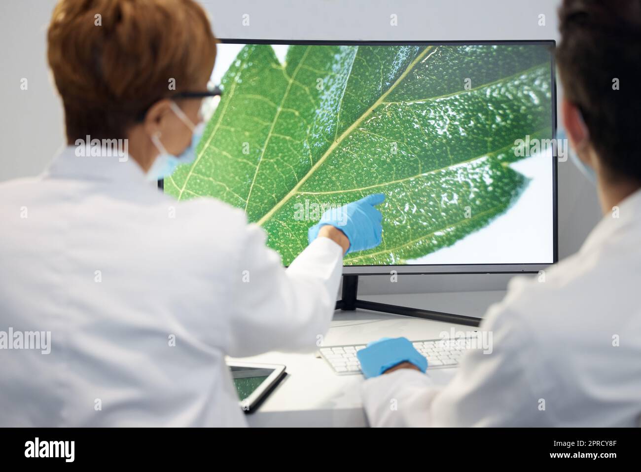 Plant, science and researchers with computer, screen and planning for ...