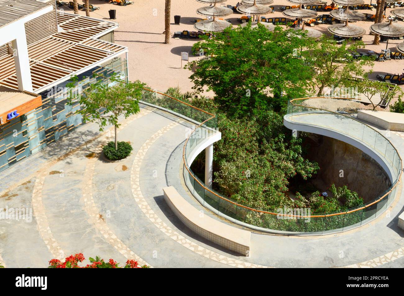 Decorative round roof of the building with a terrace with a growing ...