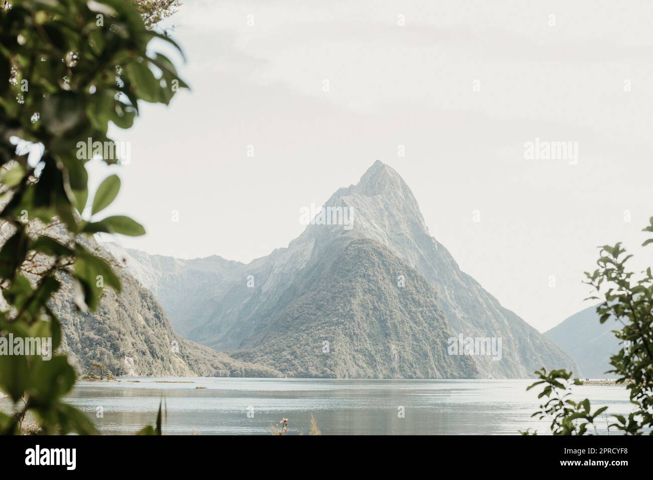 Fjord landscape. Milford Sound in New Zealand. Travel Stock Photo - Alamy