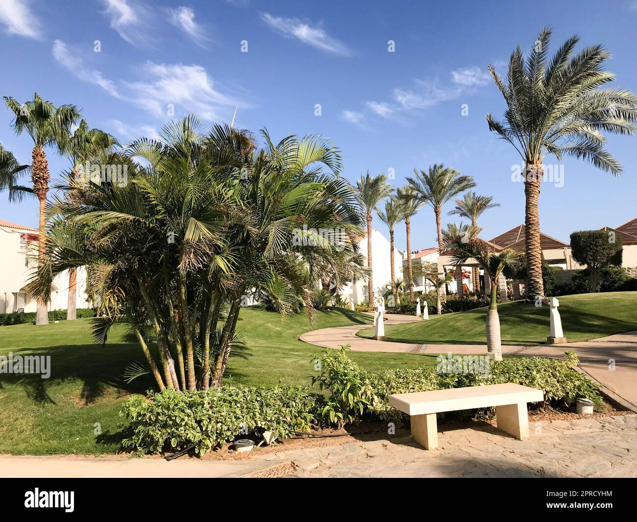 View of the park and the stone path and the beautiful Arabian Muslim ...