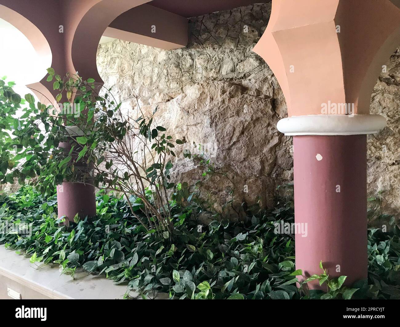 Large columns of round strong carved and green tropical plants against ...