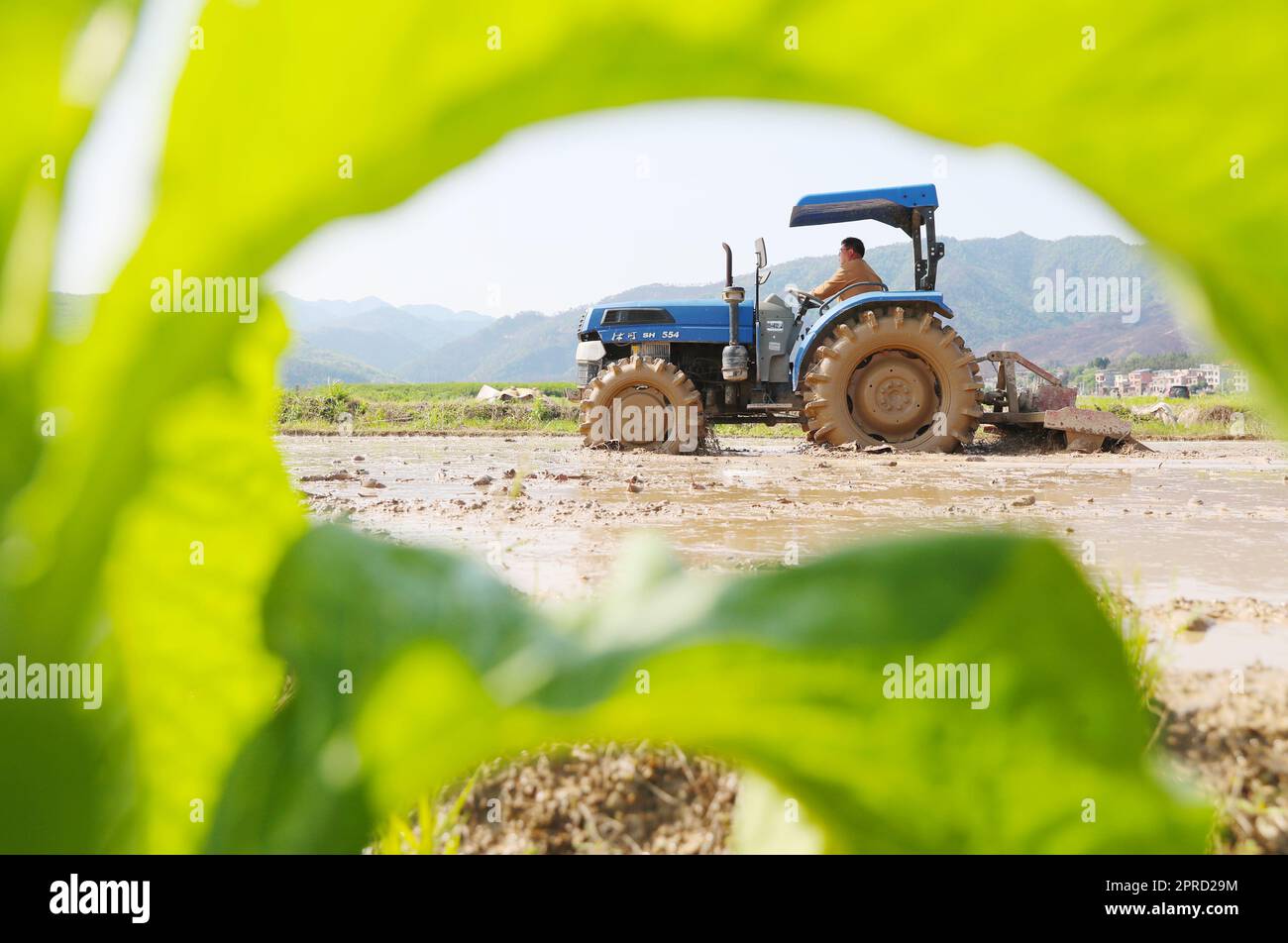 Lujia village hi-res stock photography and images - Alamy