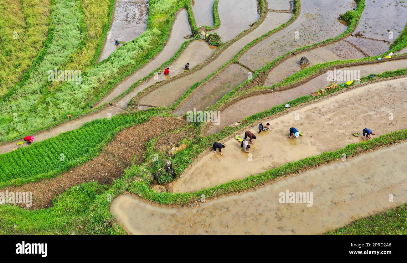 Beijing, China's Guizhou Province. 26th Apr, 2023. This aerial photo ...