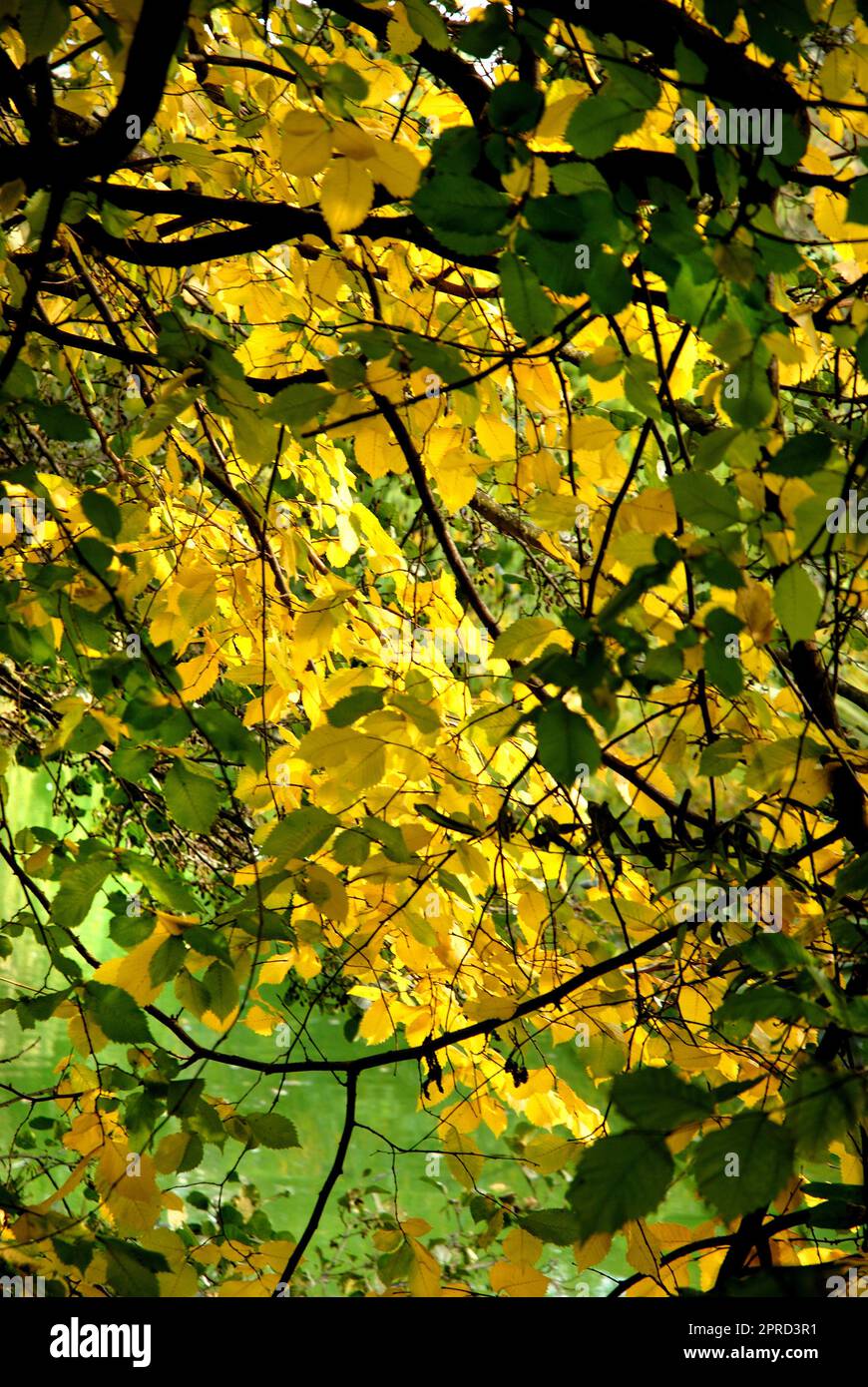 Dublin nature reserve hi-res stock photography and images - Alamy