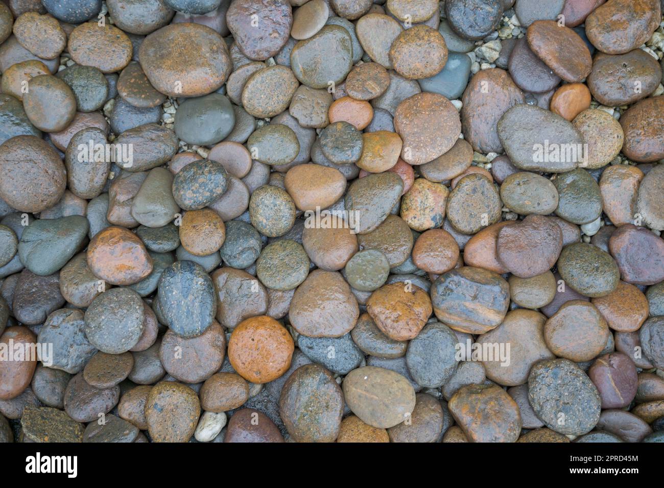 Wet rock river texture background Stock Photo - Alamy
