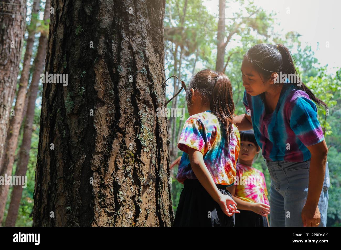 Happy mother and little girl touching the trunk of a big old tree ...