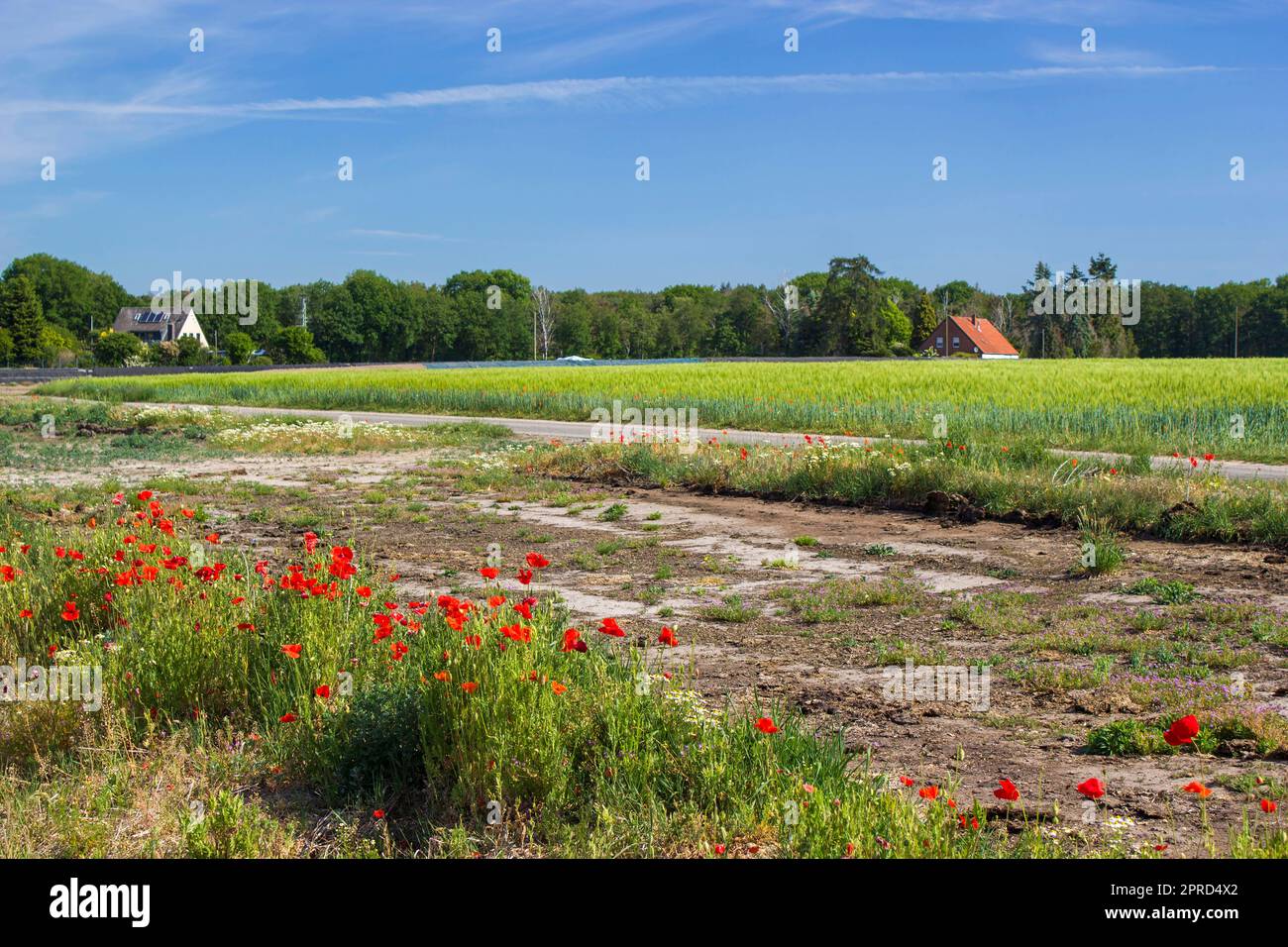 Idyllic german farm house hi-res stock photography and images - Alamy