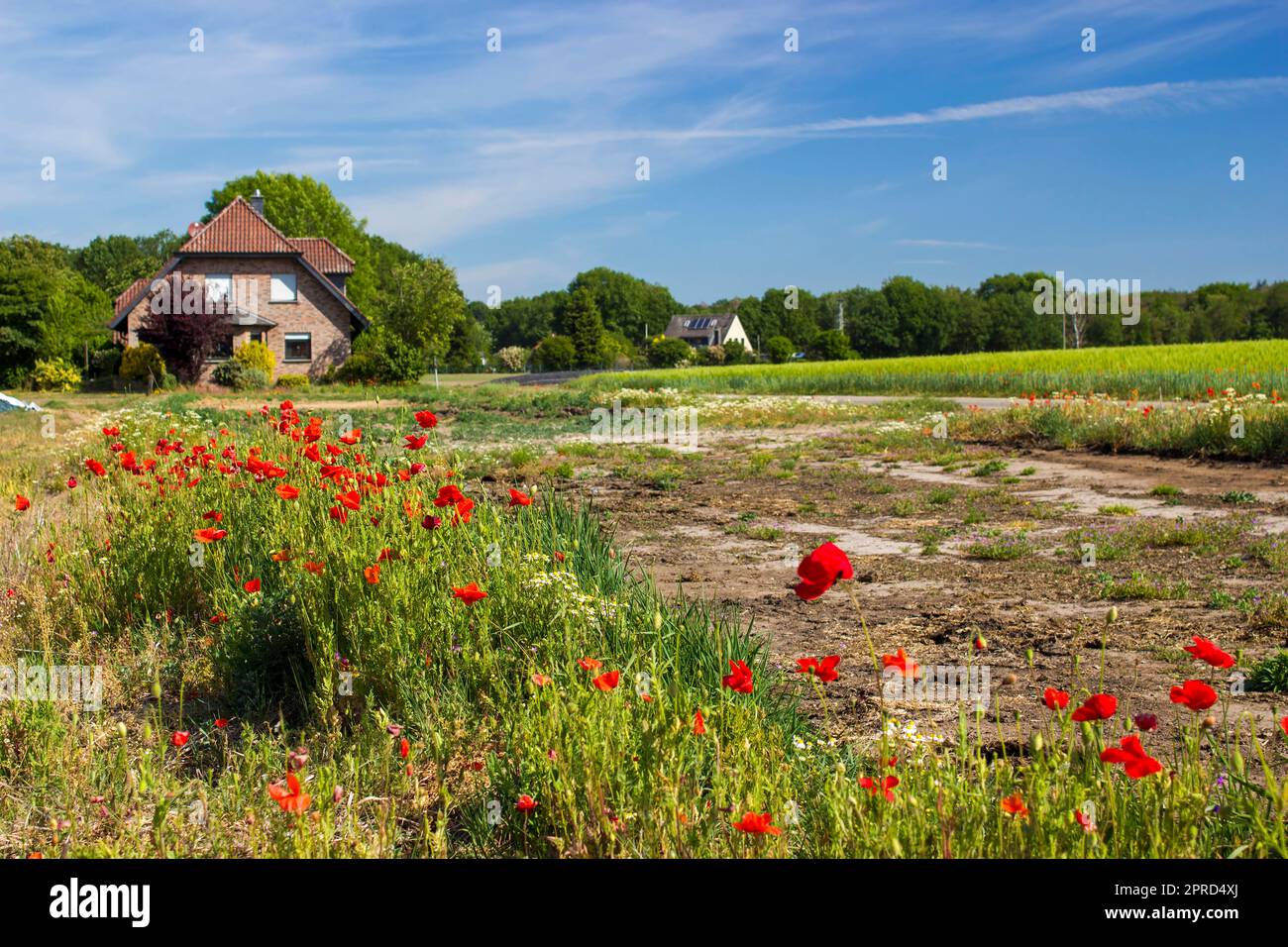 Idyllic german farm house hi-res stock photography and images - Alamy