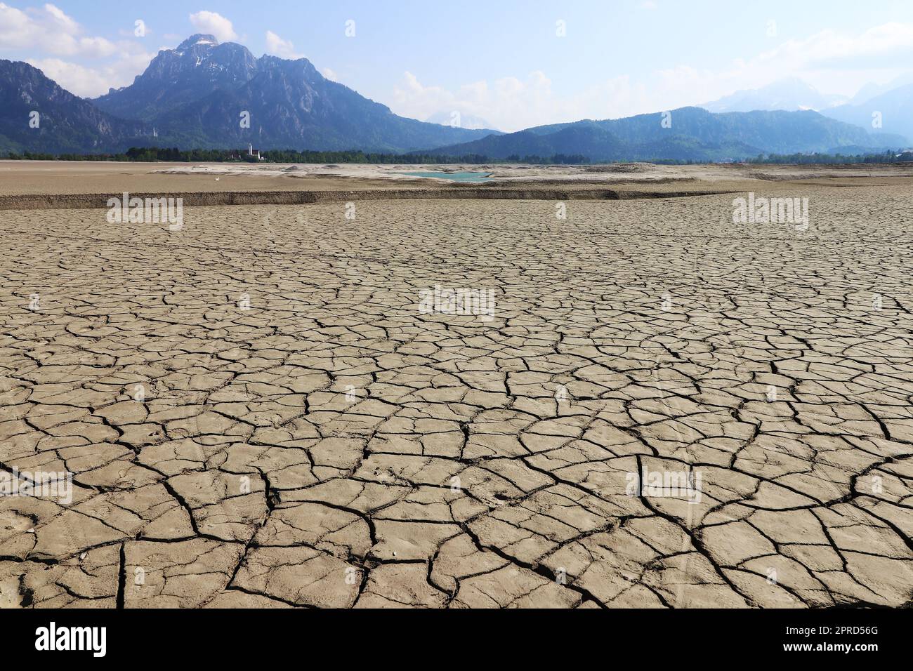A dried up lake during great drought in Germany Stock Photo - Alamy