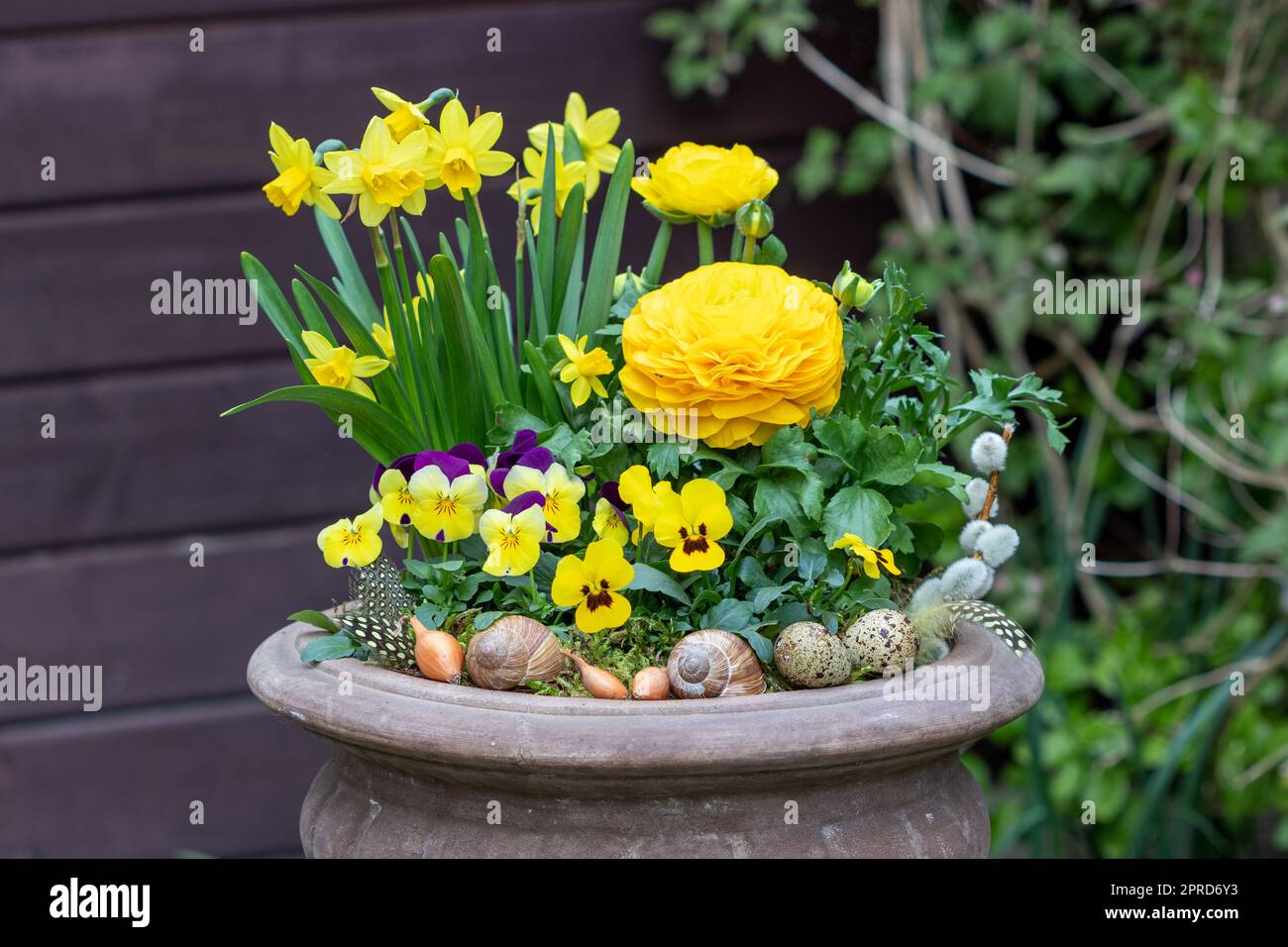 Vase narcissus flowers hi-res stock photography and images - Alamy