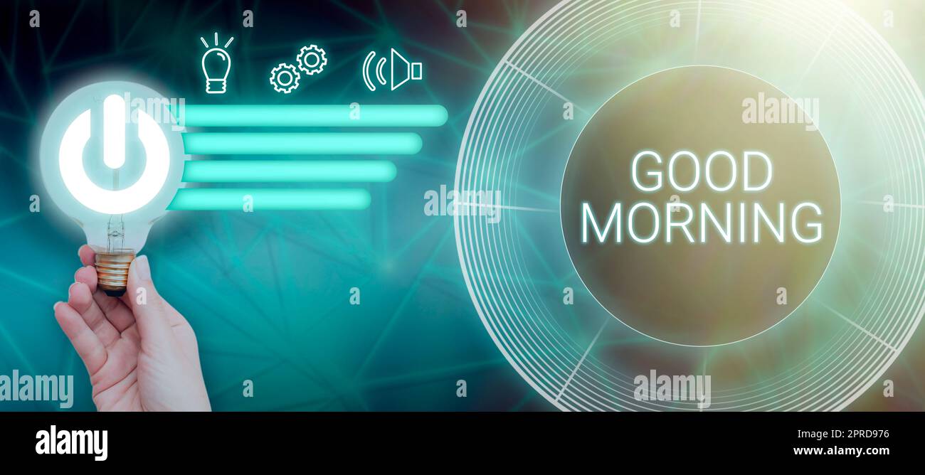 Conceptual display Good Morning. Business overview A conventional ...