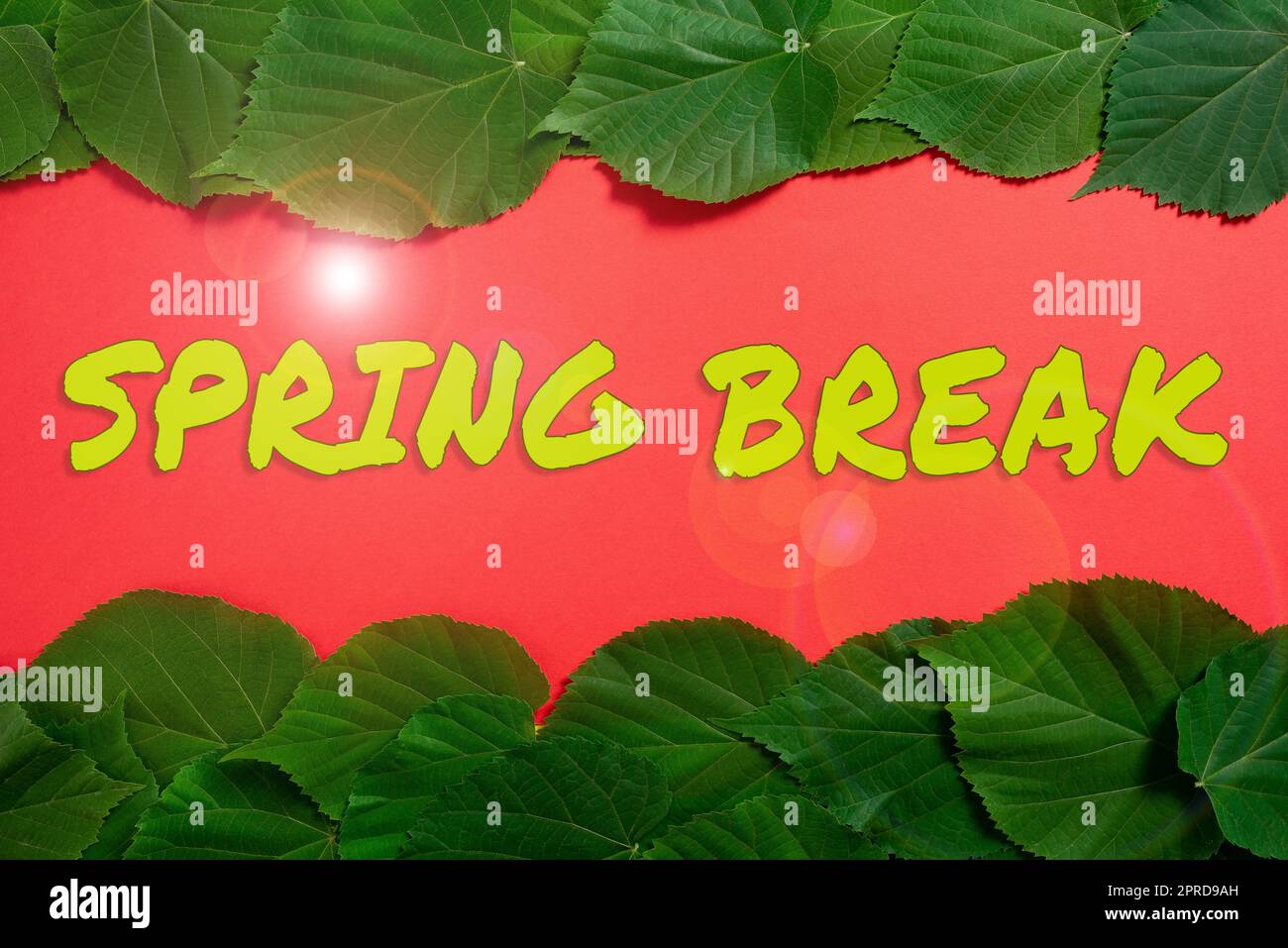 Conceptual caption Spring Break. Business concept Vacation period at ...