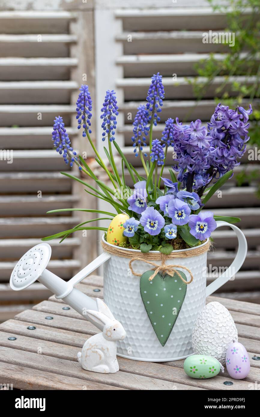 Blue spring flowers hi-res stock photography and images - Alamy