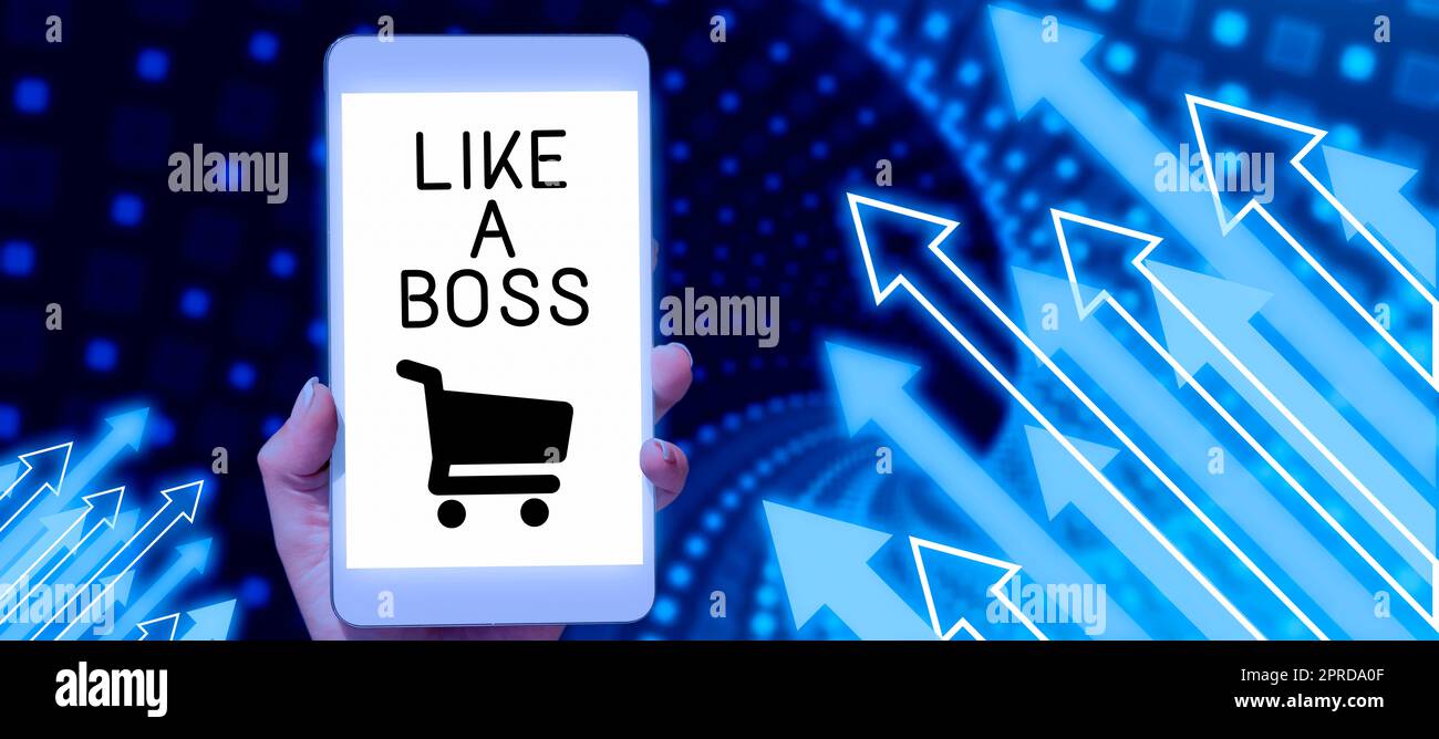 Sign displaying Like A Boss. Concept meaning Acting as if you are the ...