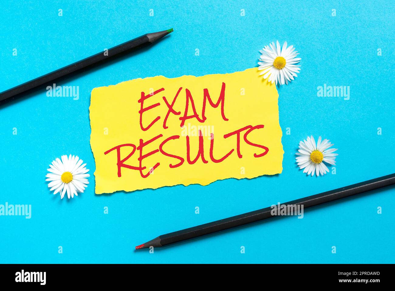 Text showing inspiration Exam Results. Word for An outcome of a formal ...