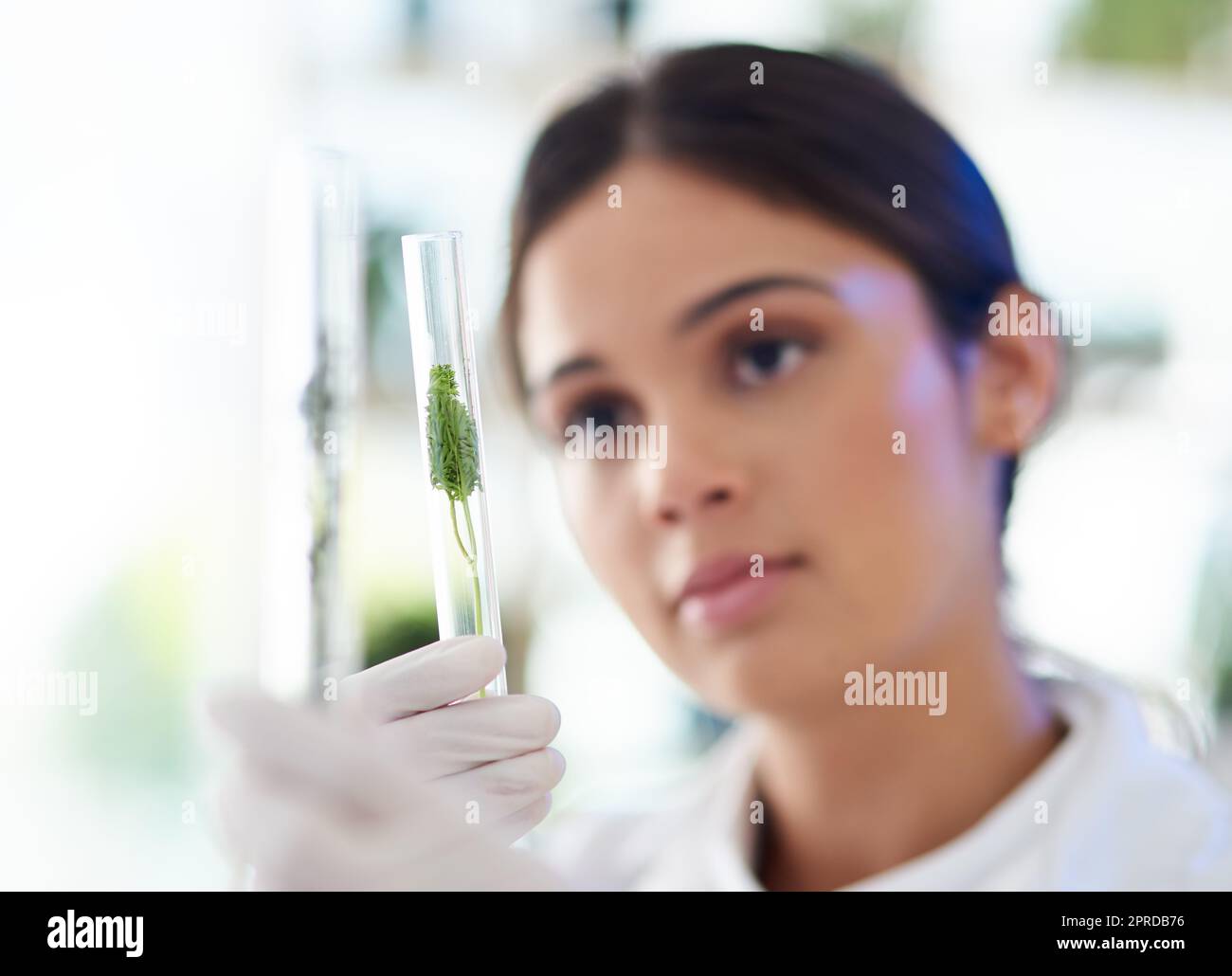 Lets test to see what this might yield. a young scientist working with ...