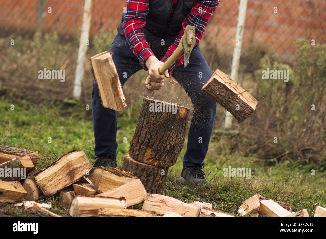 lumberjack cutting wood Stock Photo - Alamy