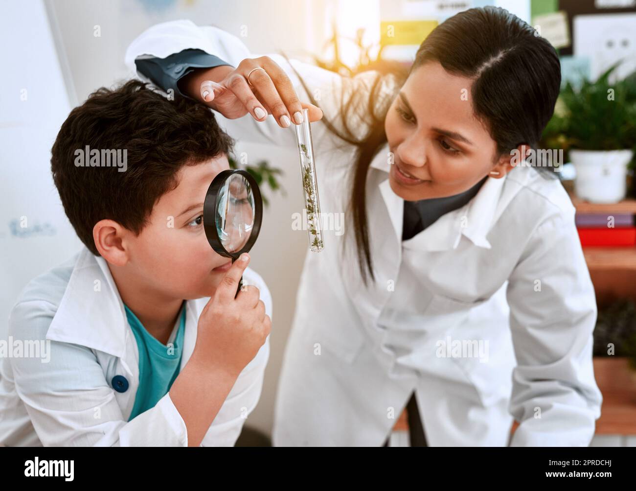 Science students plants hi-res stock photography and images - Alamy