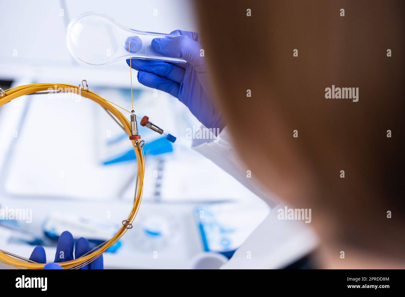 Female researcher working in a chemistry lab Stock Photo - Alamy