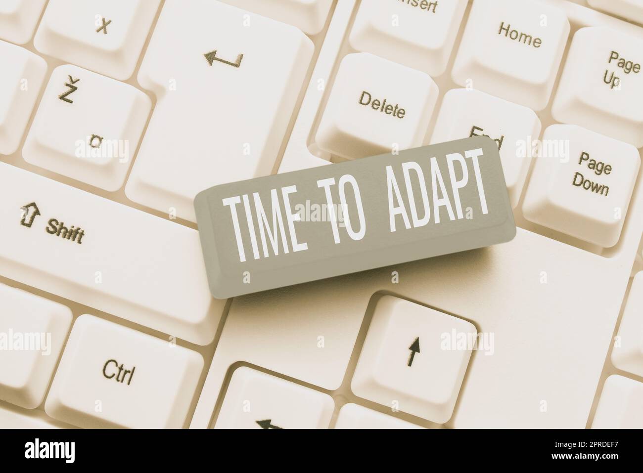 Conceptual display Time To Adapt. Concept meaning Moment to adjust ...